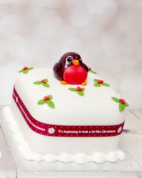 Crafty Cakes | Exeter | UK - Christmas Robin Cake